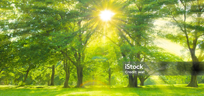 DSM-ESG_Evolution-Images-v01-08 - DSM Capital Partners