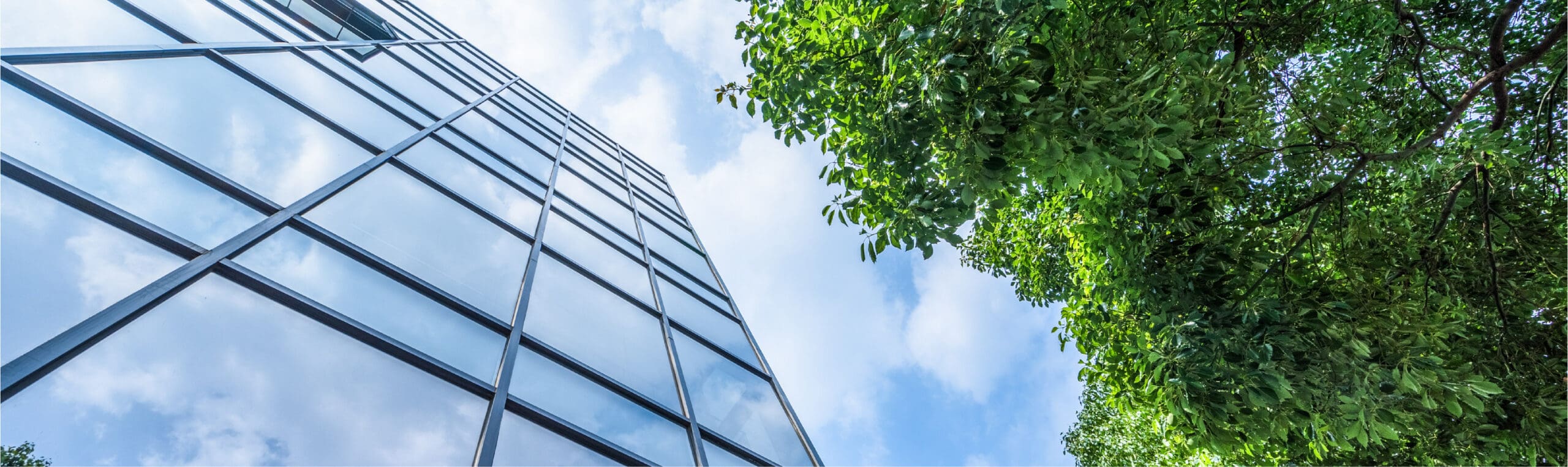 News & Insights - DSM Capital Partners