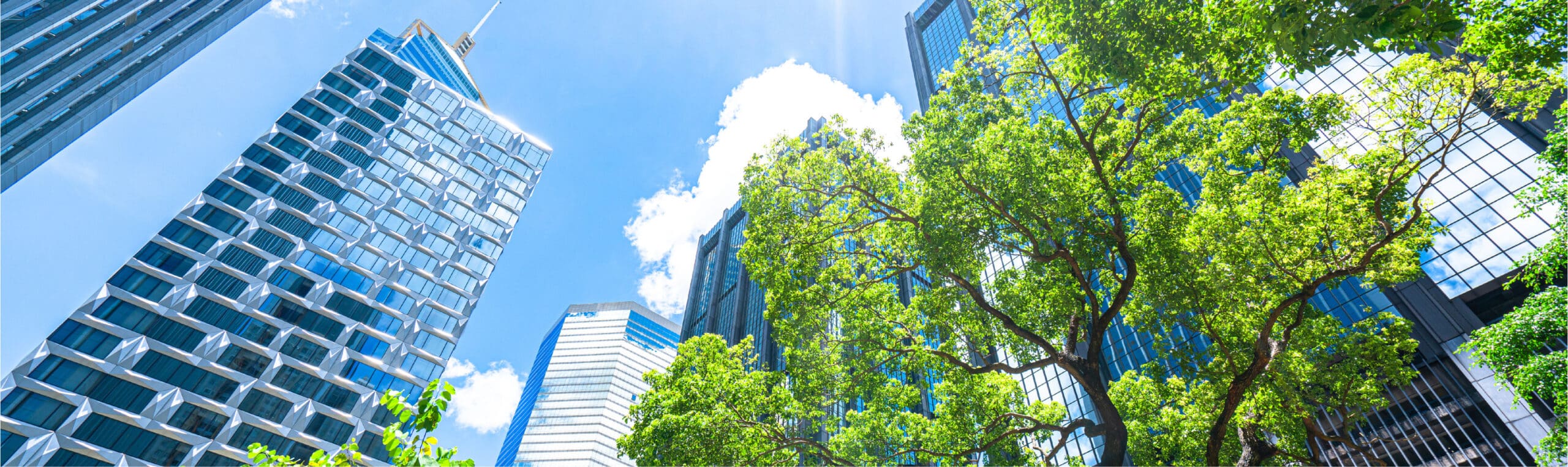 How We Invest - DSM Capital Partners